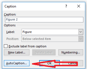 How do I add or remove auto captions in Word 2010, 2013 and 2016 ...