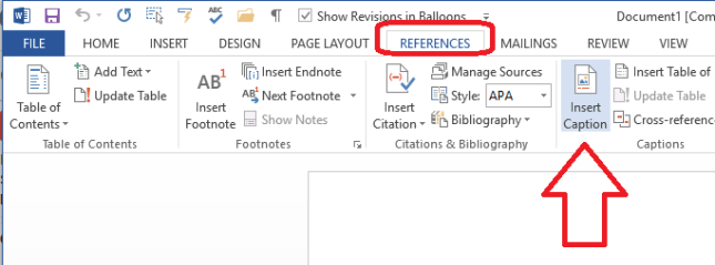 How do I add or remove auto captions in Word 2010, 2013 and 2016 ...